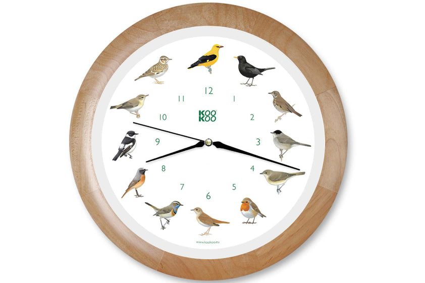 Singvögel Songbird Wall Clock | KOOKOO EU